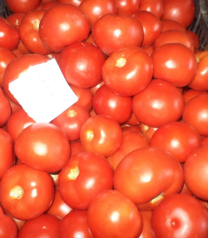 Seminte profesionale de tomate Mahitos F1, RZ