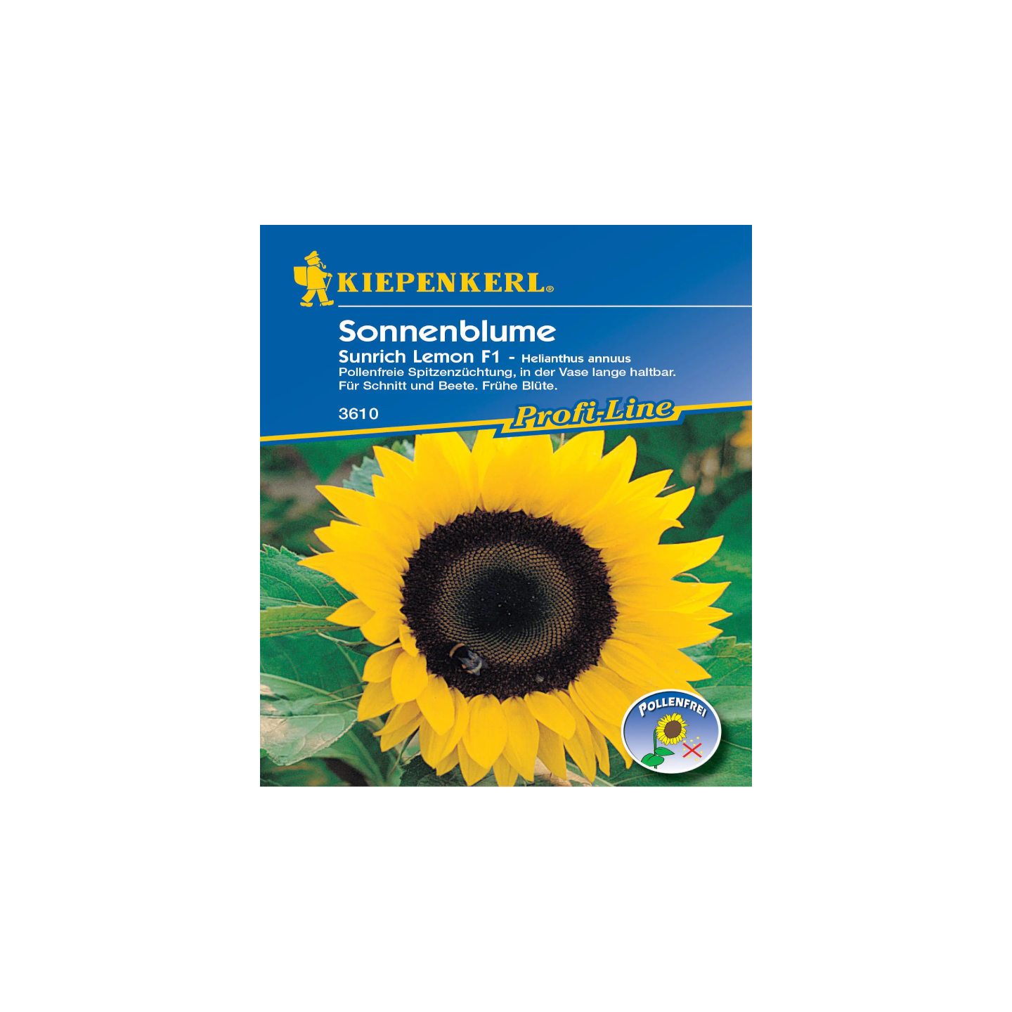 Floarea soarelui Sunrich Lemon F1, 25 de seminte