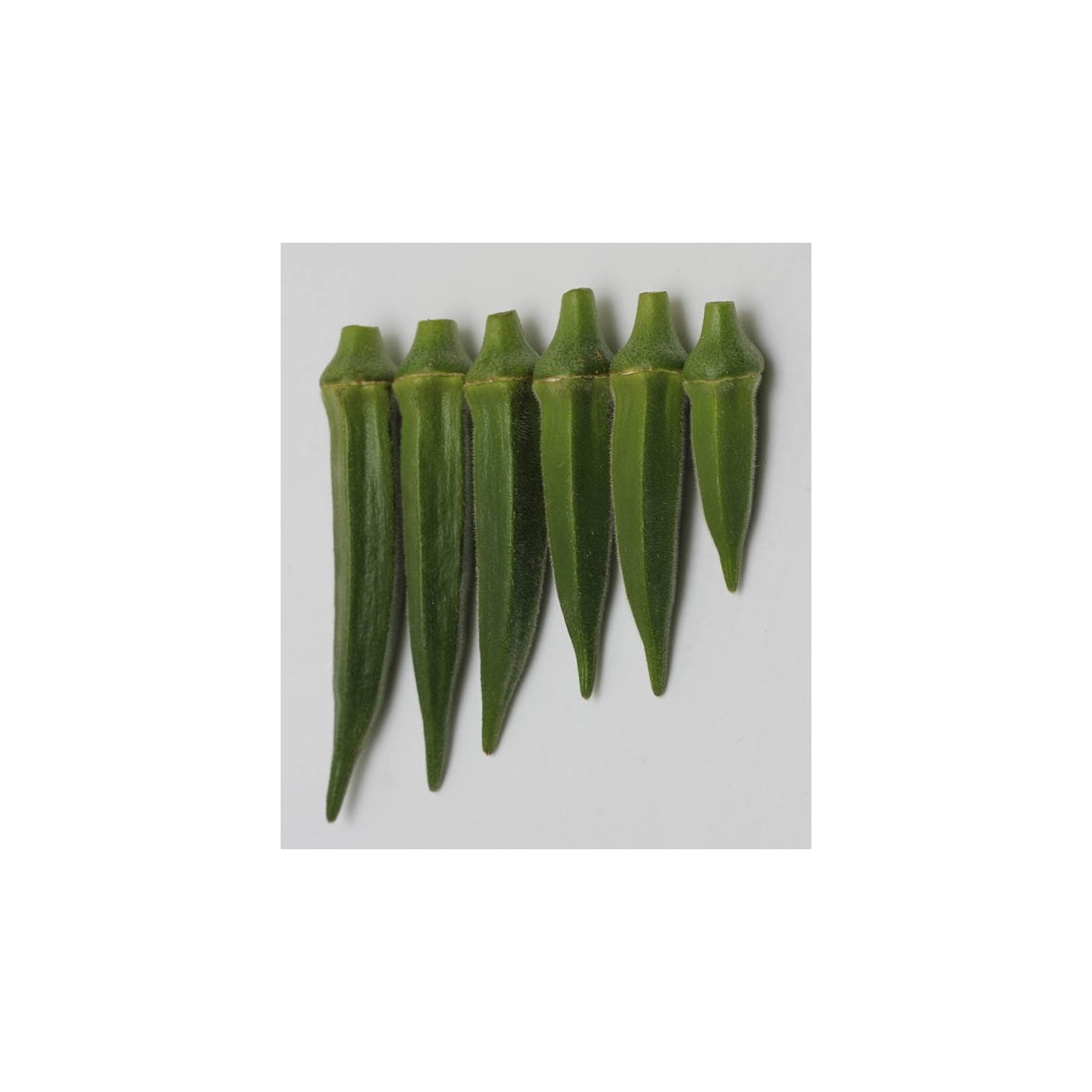 Seminte profesionale de Bame Comet F1, 100 grame