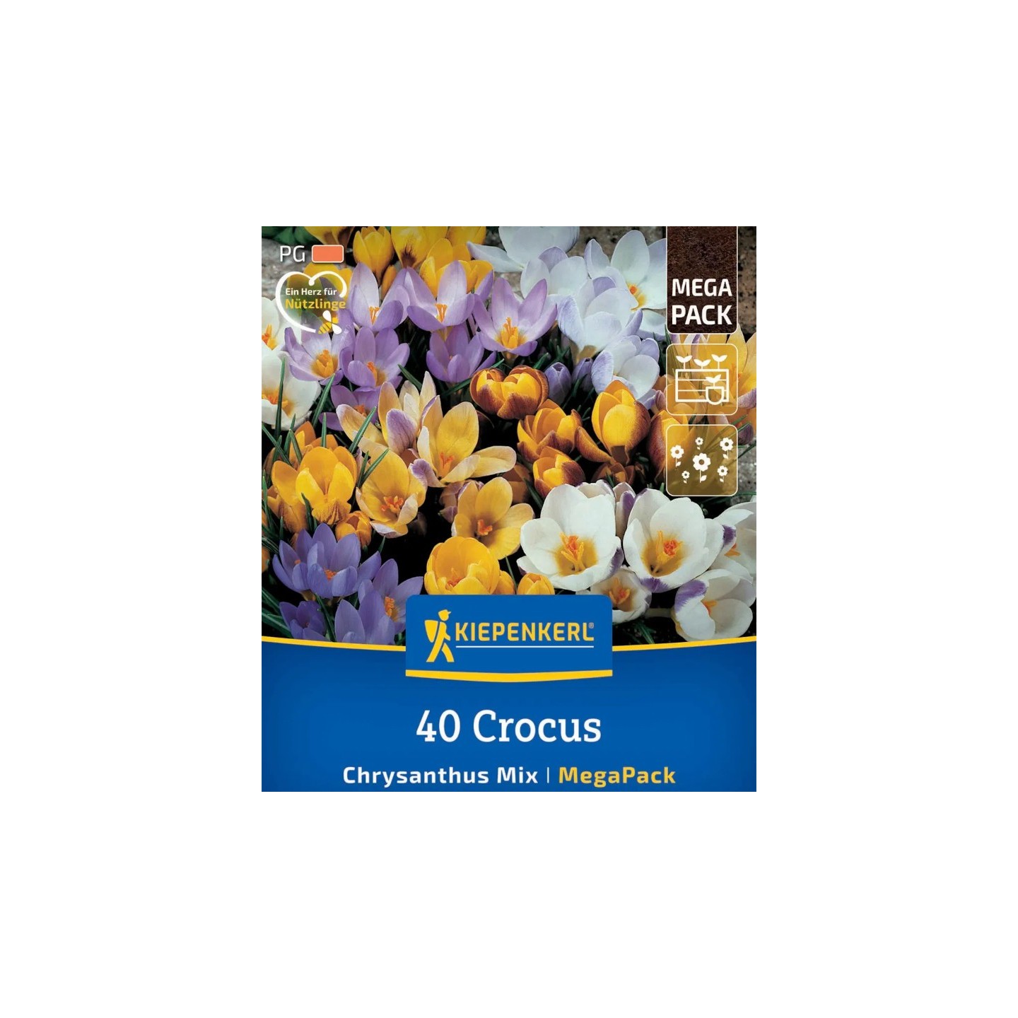 Bulbi de Crocus Botanical Mix, amestec de culori