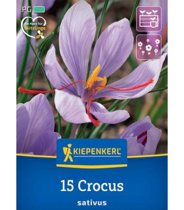 Bulbi de Crocus sativus,(sofran), 15 bulbi