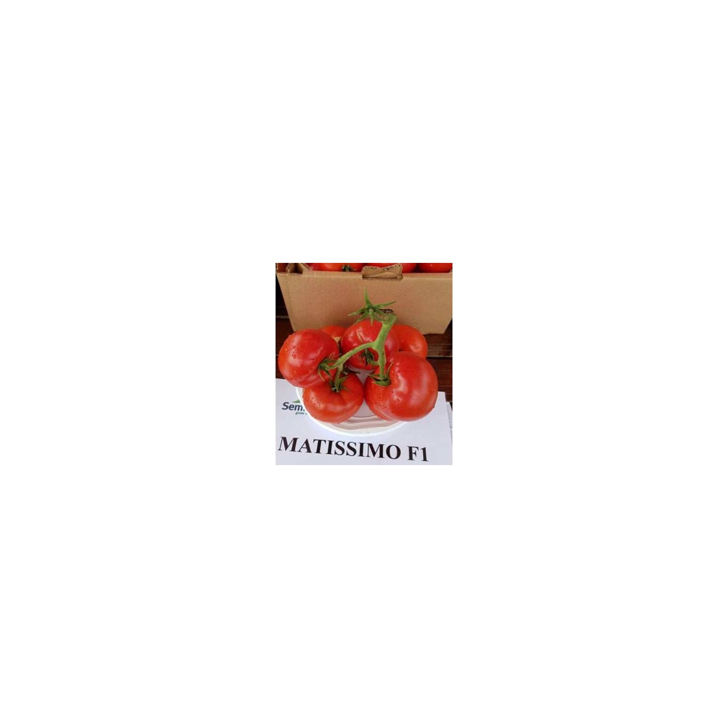 Seminte de tomate Matissimo, Seminis