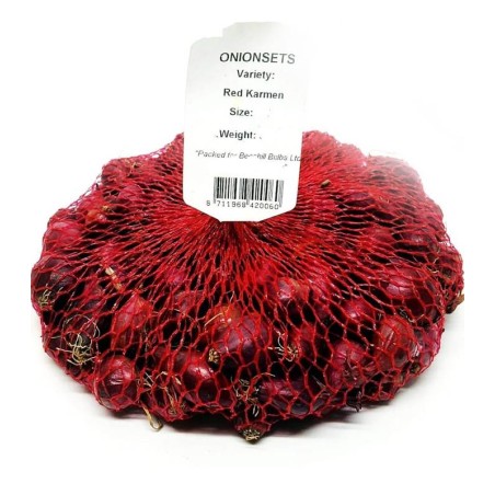 Arpagic Red Karmen, arpagic pentru ceapa rosie, calibru 14/21
