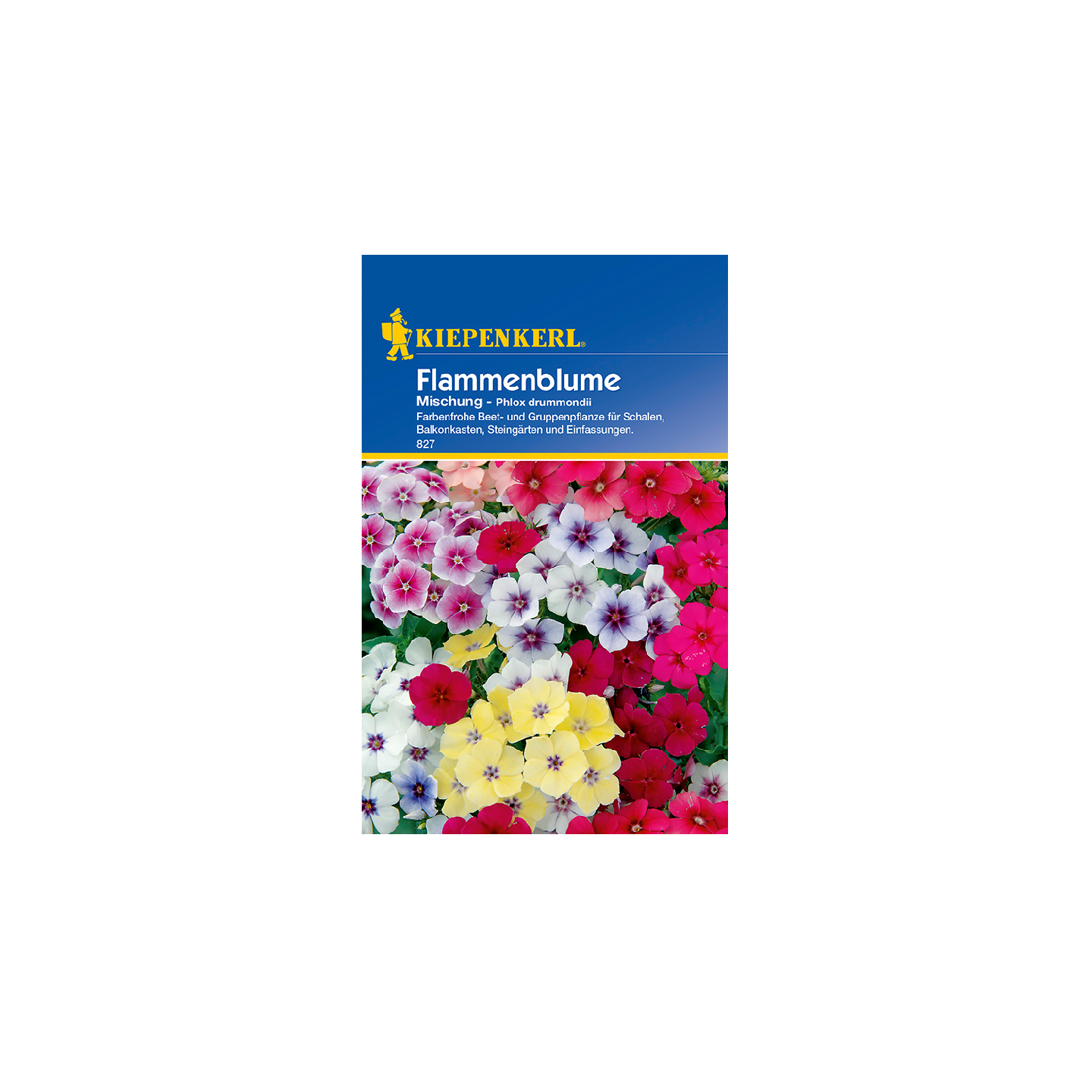 Mix Brumarele, 25 seminte, flori gradina, ghiveci, plante multicolore