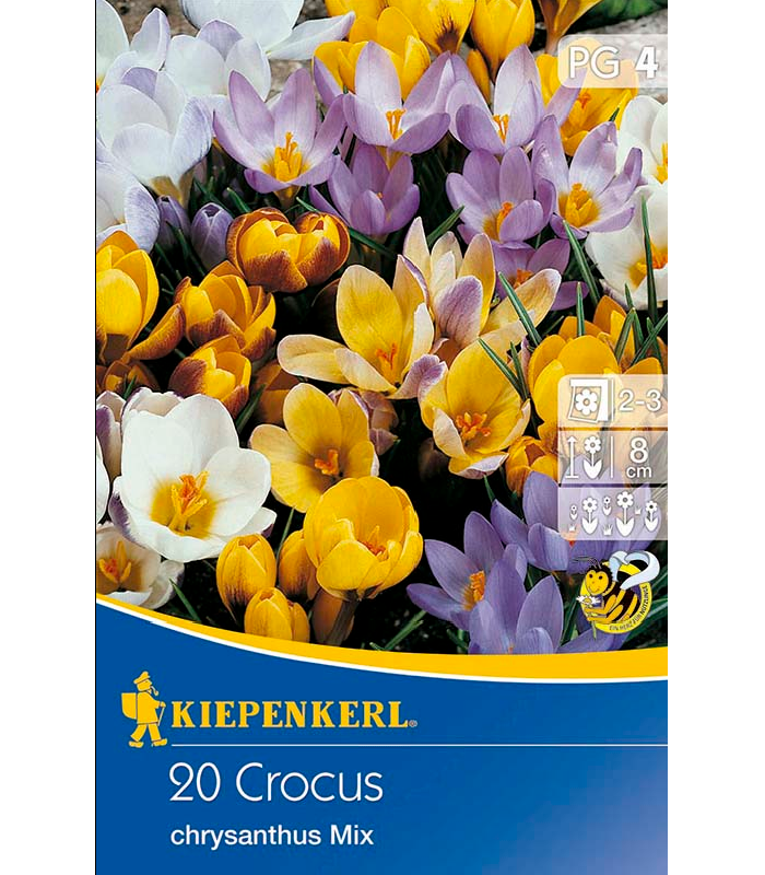 Bulbi de Crocus Botanical Mix, amestec de culori