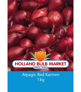 Arpagic olandez, profesional, arpagic pentru ceapa, alb sau rosu