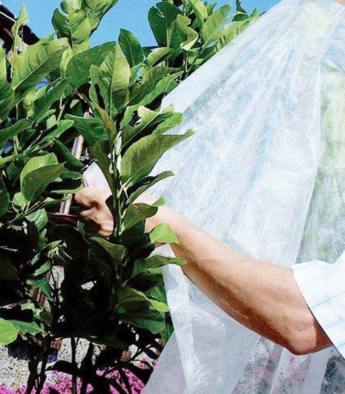 Folie microporoasa anti-inghet tip agril, 3.2x5m, protectie plante